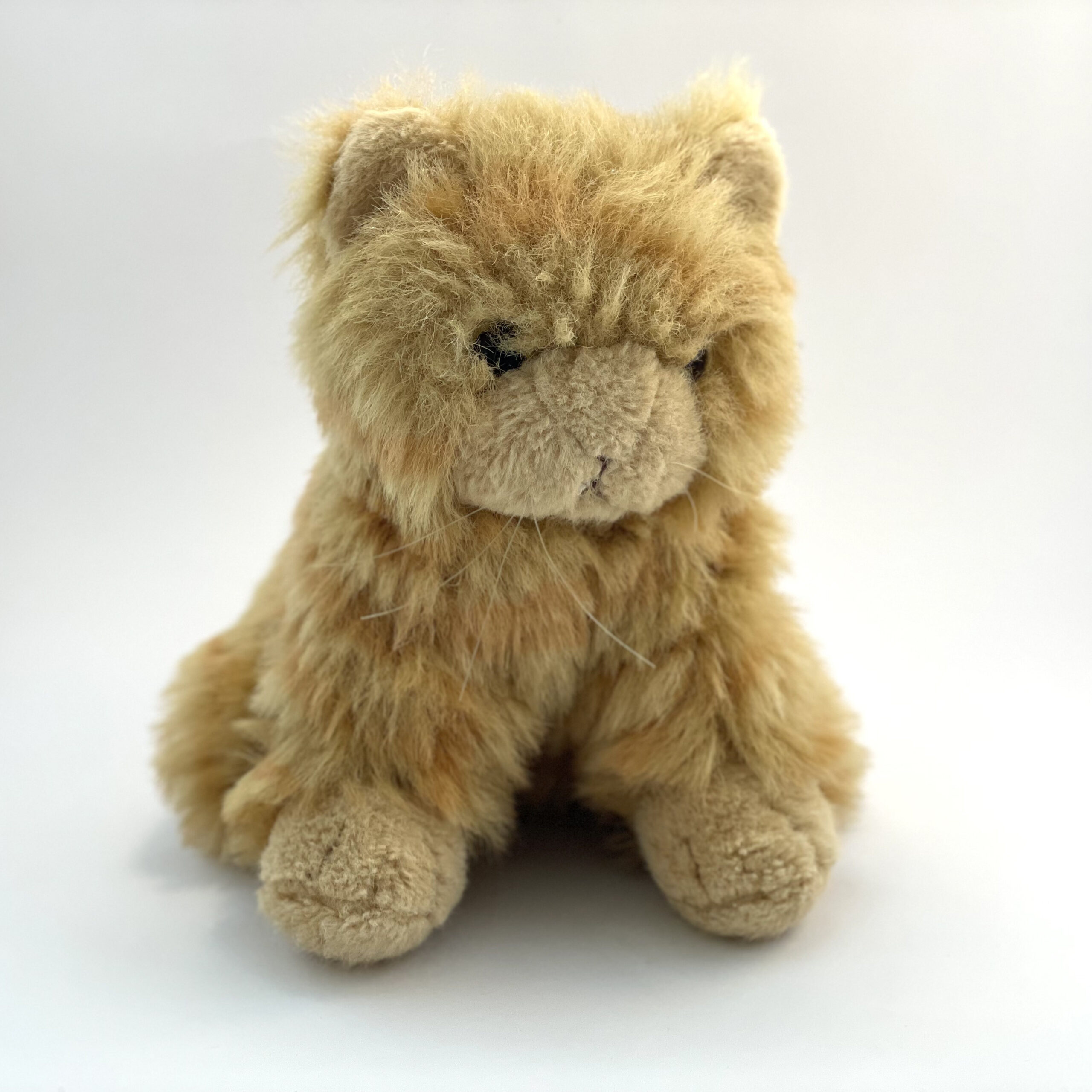 Minou | Nog Steeds Lief